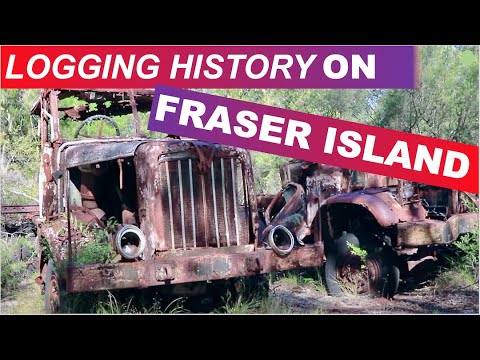Fraser Island Logging History - ( Postans Logging Camp ) - YouTube