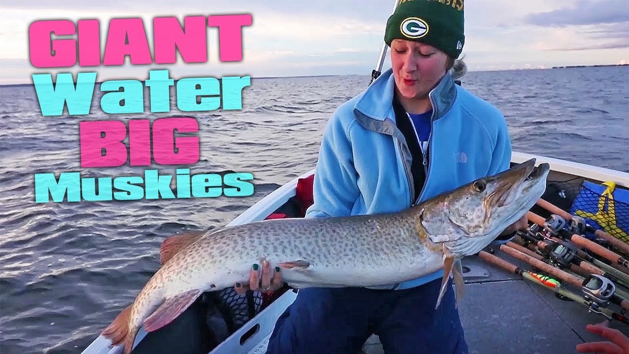 GIANT Water BIG MUSKIES!! - YouTube