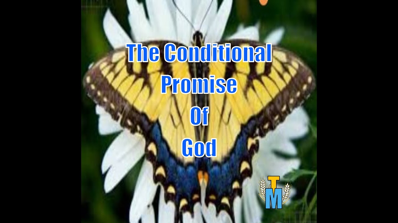 The conditional promise of God - YouTube