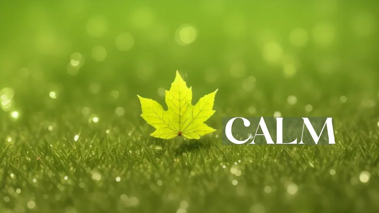 Ultimate Relaxing Music for Stress Relief | Calm Sounds for Sleep ...