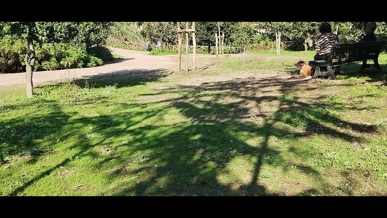 GSYBE! "No Title As Of 13 February 2024" (2024) - YouTube