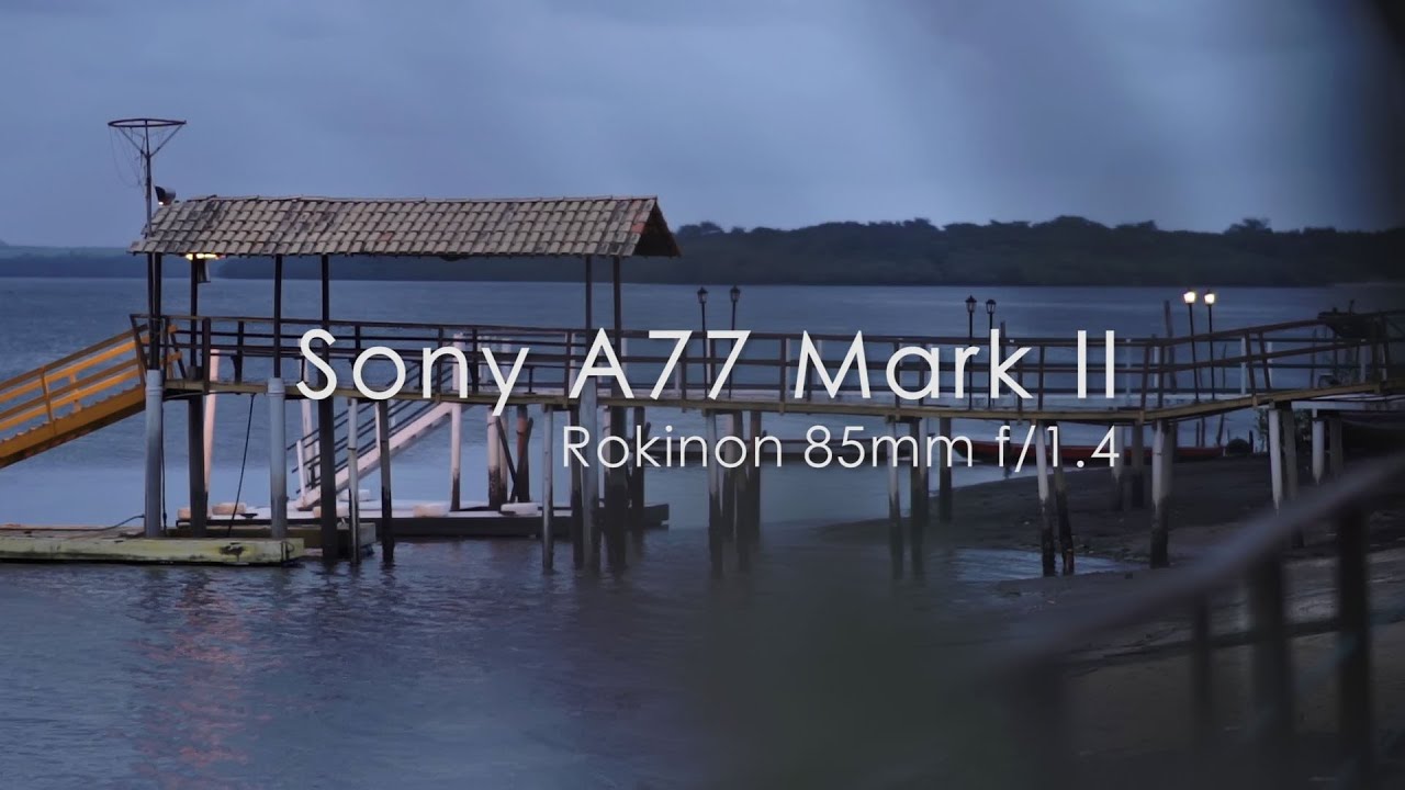 Sony a77II - Alpha 77 Mark II & Rokinon 85mm 1.4 Lens (first test ...