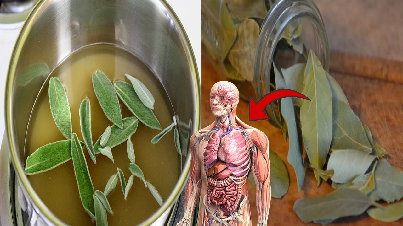 Shurupi me sherebelë dhe gjethe dafine, receta që kuron çdo sëmundje ...