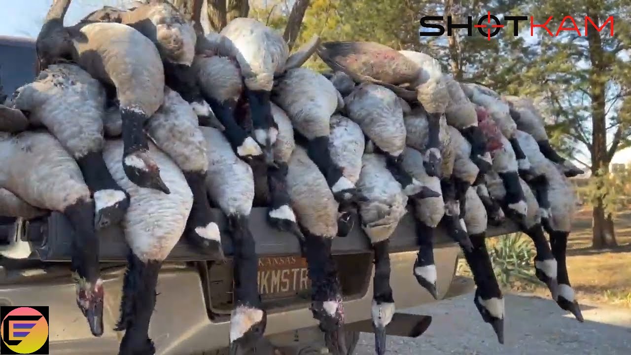PHAT STACK, some 💍 BLING, & a MASSIVE FLOCK of MALLARDS! - YouTube