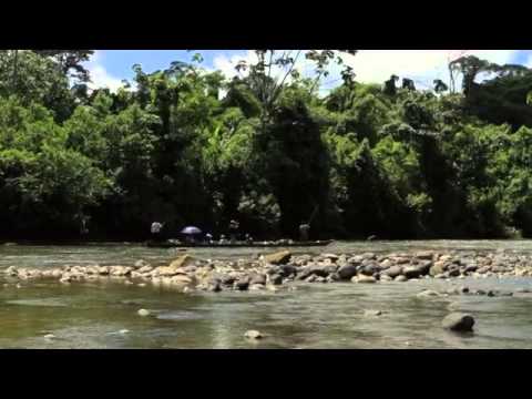 Dayuma parte 1 | Programa 3- Bloque 3 | Visión 360 - YouTube