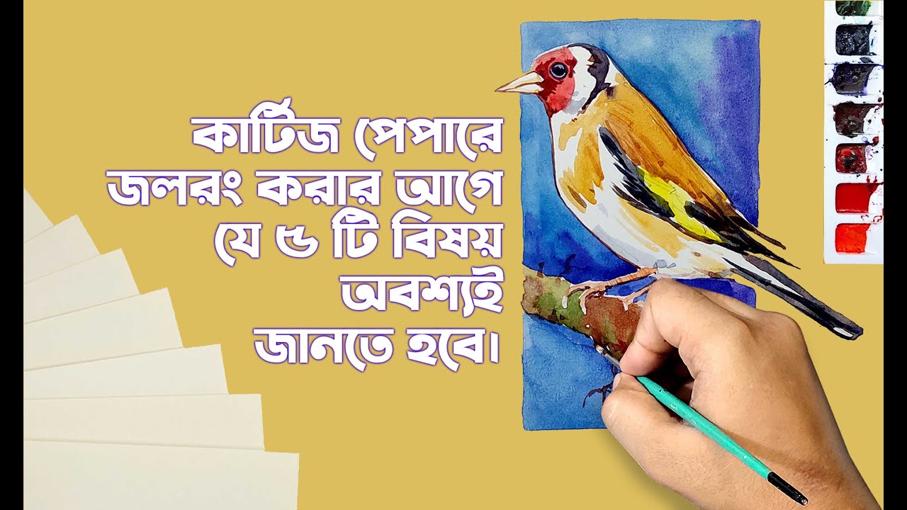 5 rules of watercolor painting on cartridge paper | Bangla - YouTube