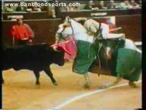 Bullfighting cruelty - Please boycott bullrings - YouTube