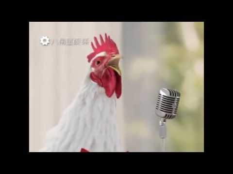 Yeni İl Klibi 2017 \