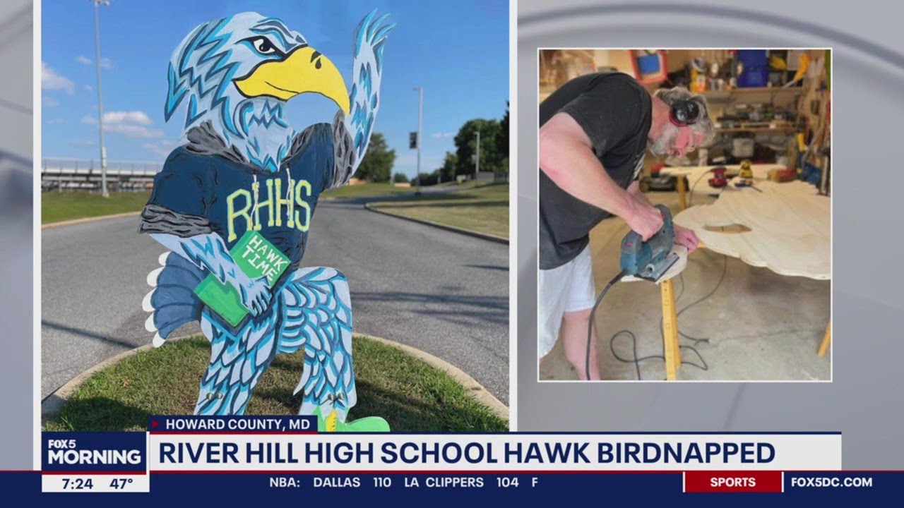 Hawk mascot stolen from River Hill High School; officials searching for ...