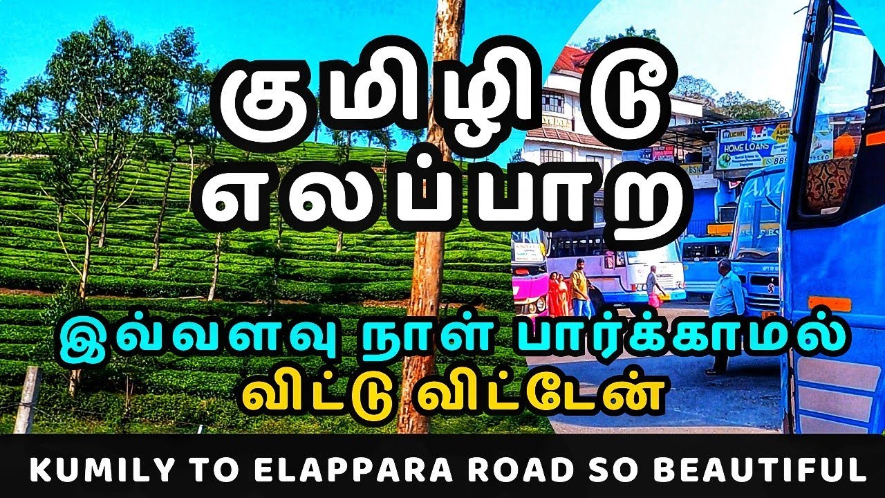 🍃குமிளி டூ எலப்பாற 🍀|Kumily to Elappara | EVERYWHERE GREEN TEA ☕ ...