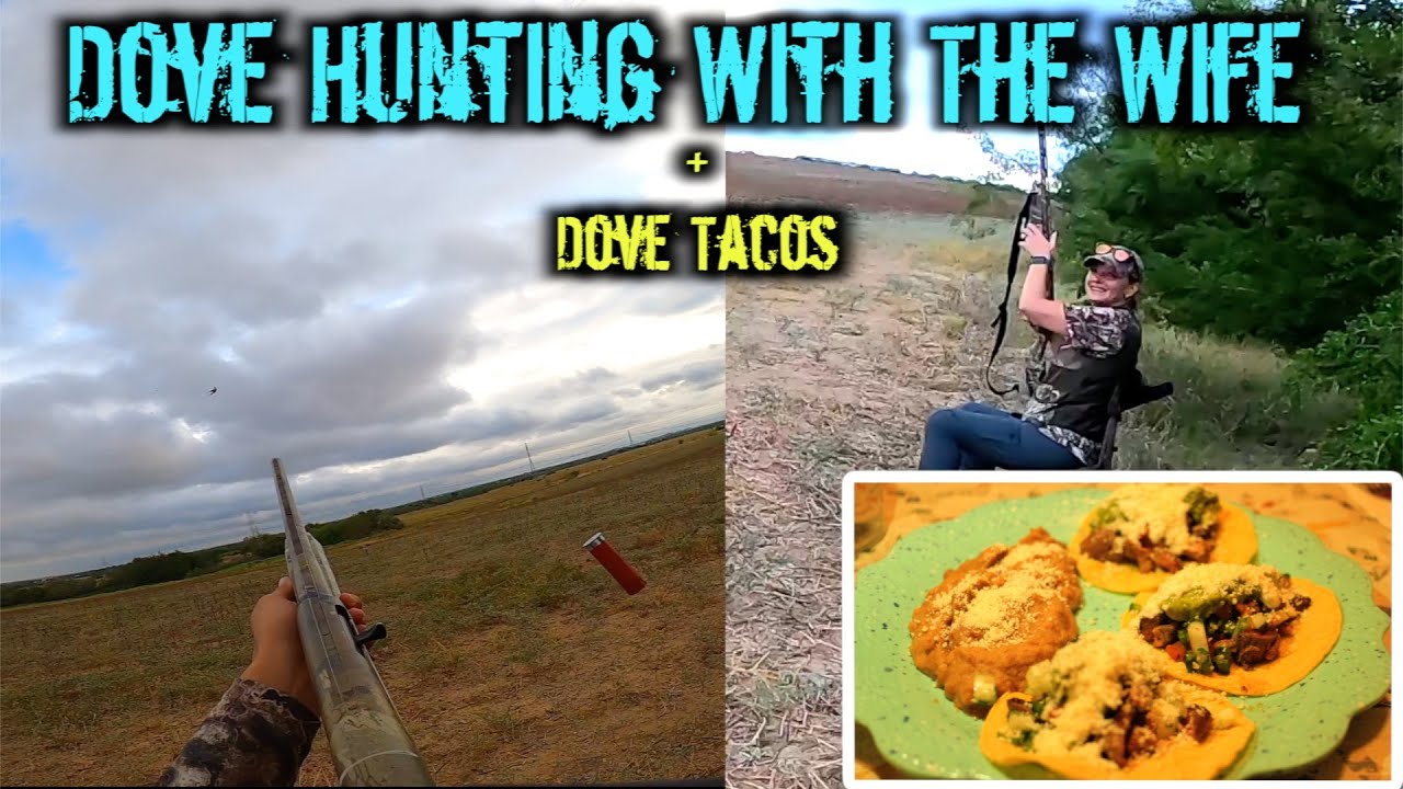 Dove hunting with the lady (dove tacos) #panchothings #dovehunting #fye ...