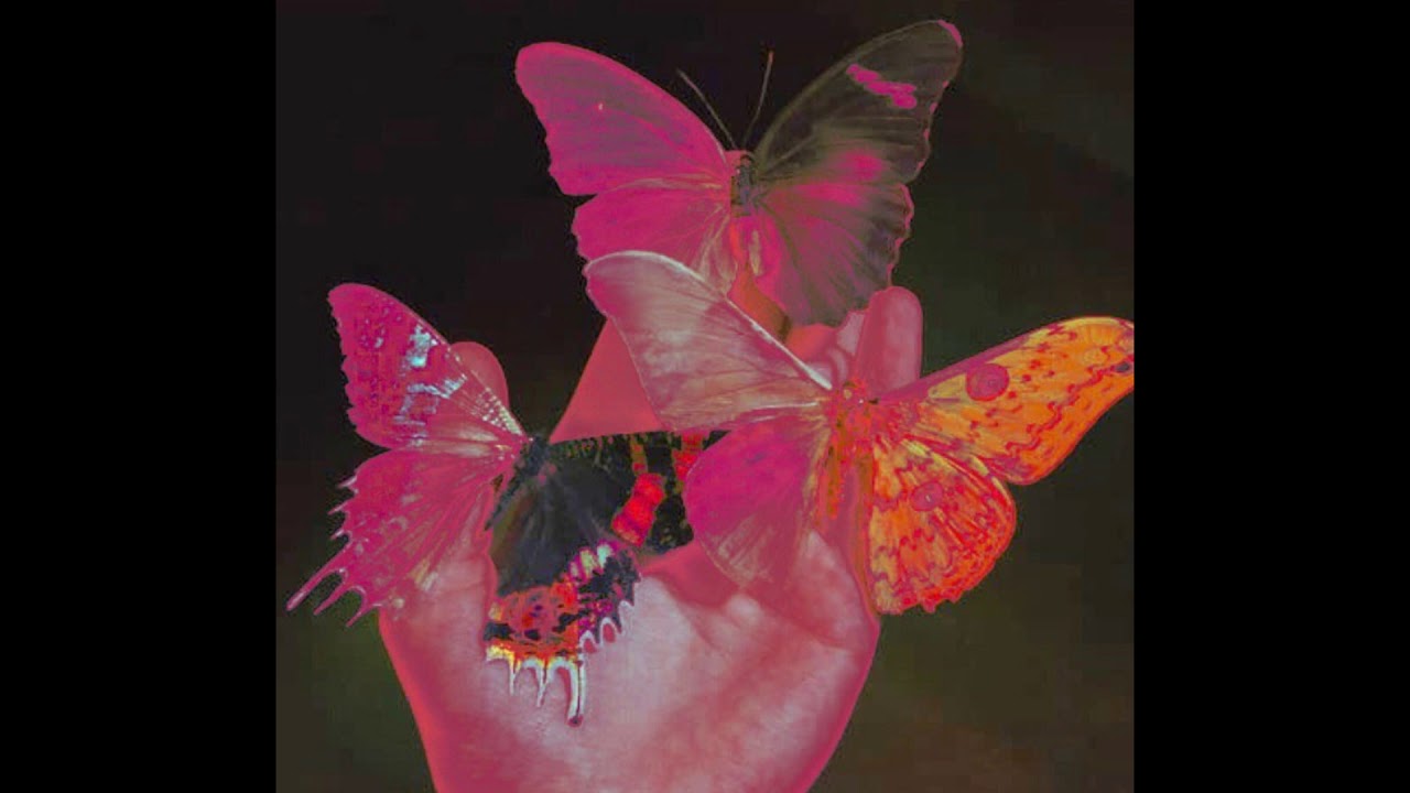 Don Toliver Type Beat ~ Butterflies - YouTube