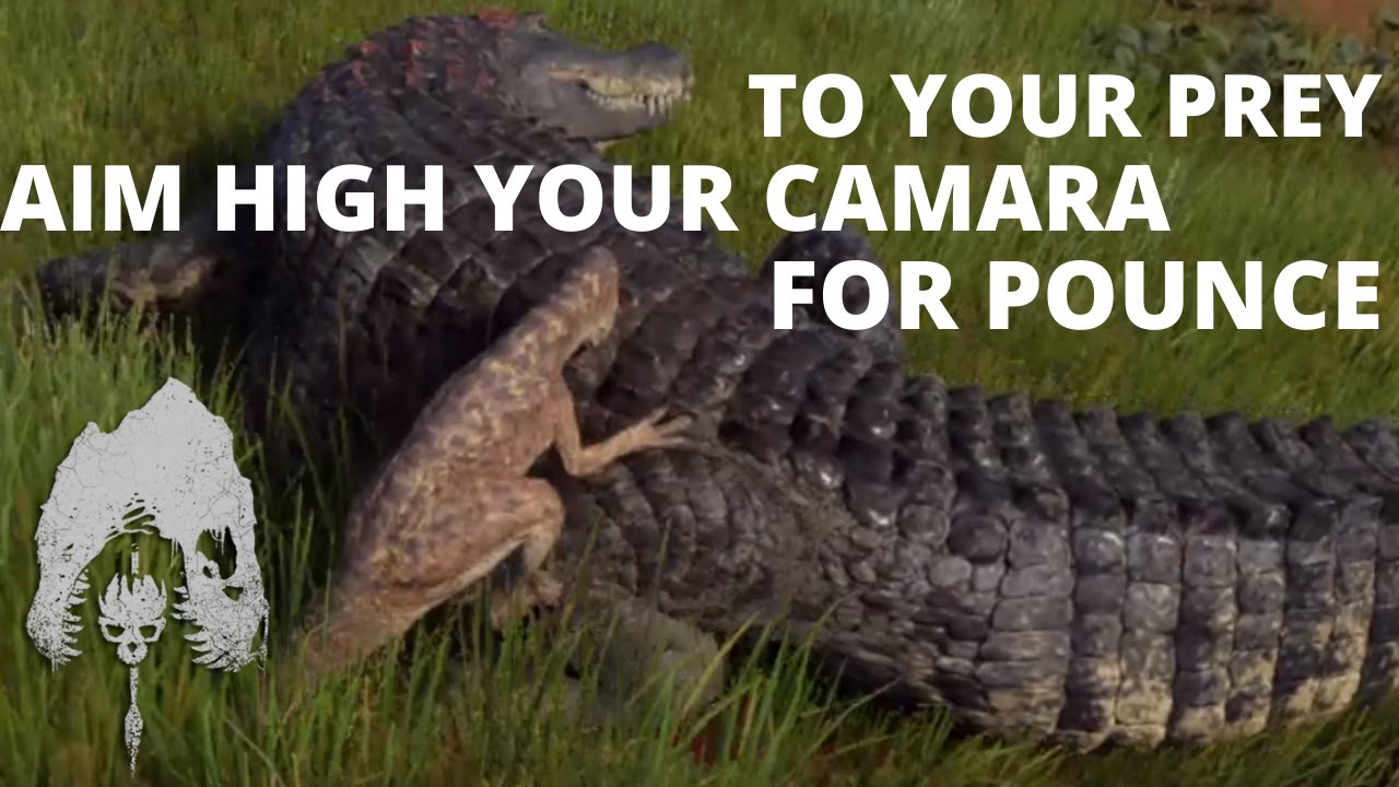 Keep RMB to pounce with Utah Raptor in the correct direction - YouTube