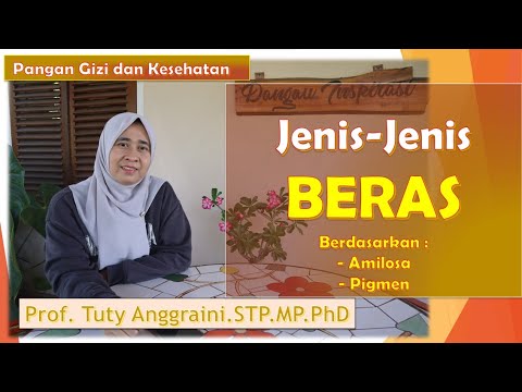 Jenis Jenis Beras Berdasarkan Kandungan Amilosa dan Pigmen II Prof ...