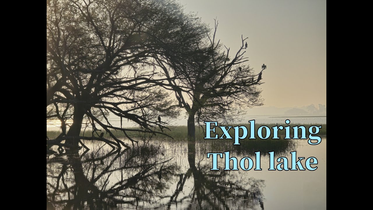 Exploring the Serenity of Thol Lake | A Nature Lover's Paradise in ...