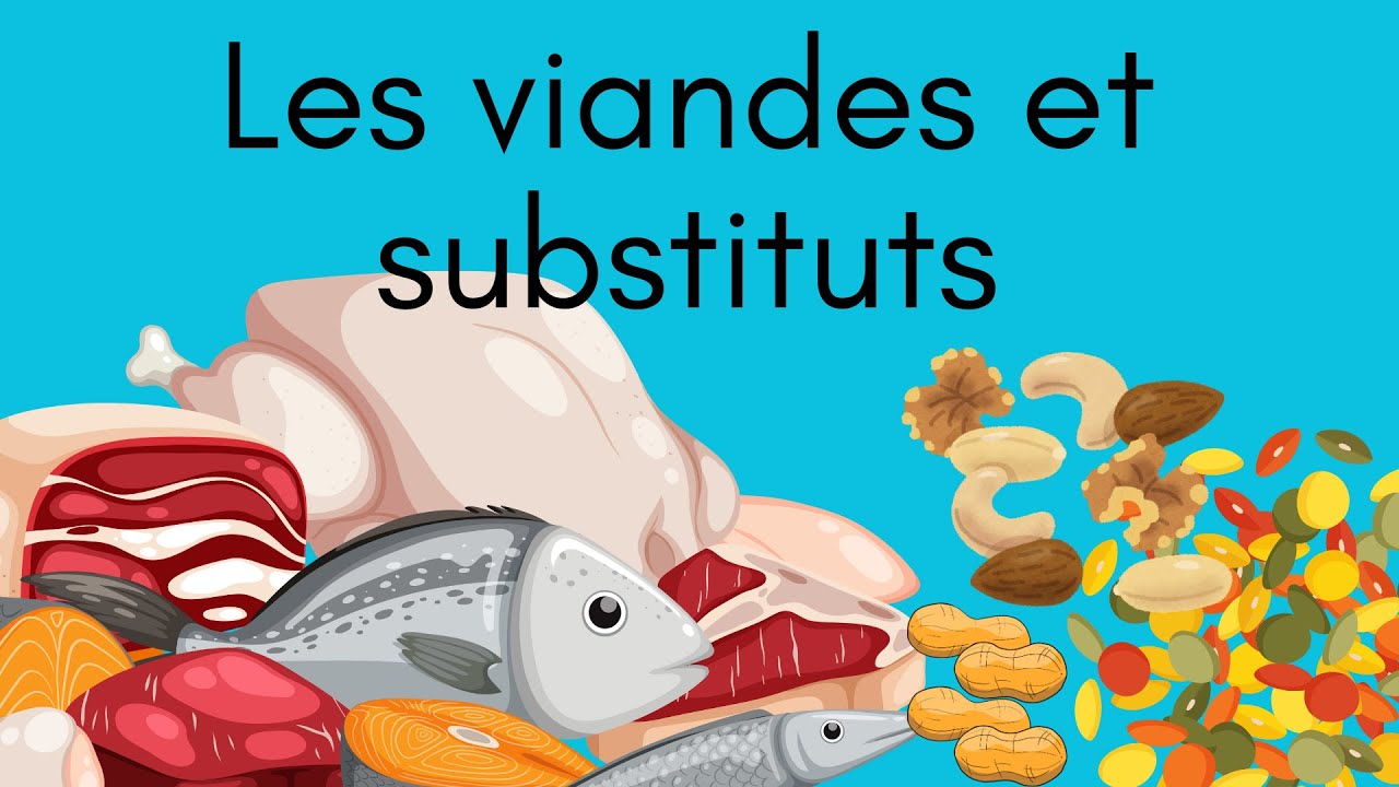 la viande et substituts : une vidéo de vocabulaire simple pour les ...