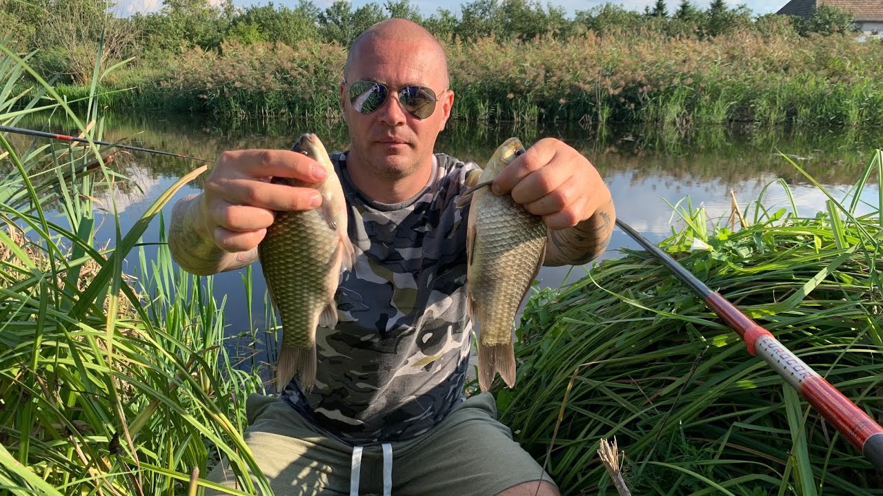 Pescuit la CARAS pe Rau - YouTube