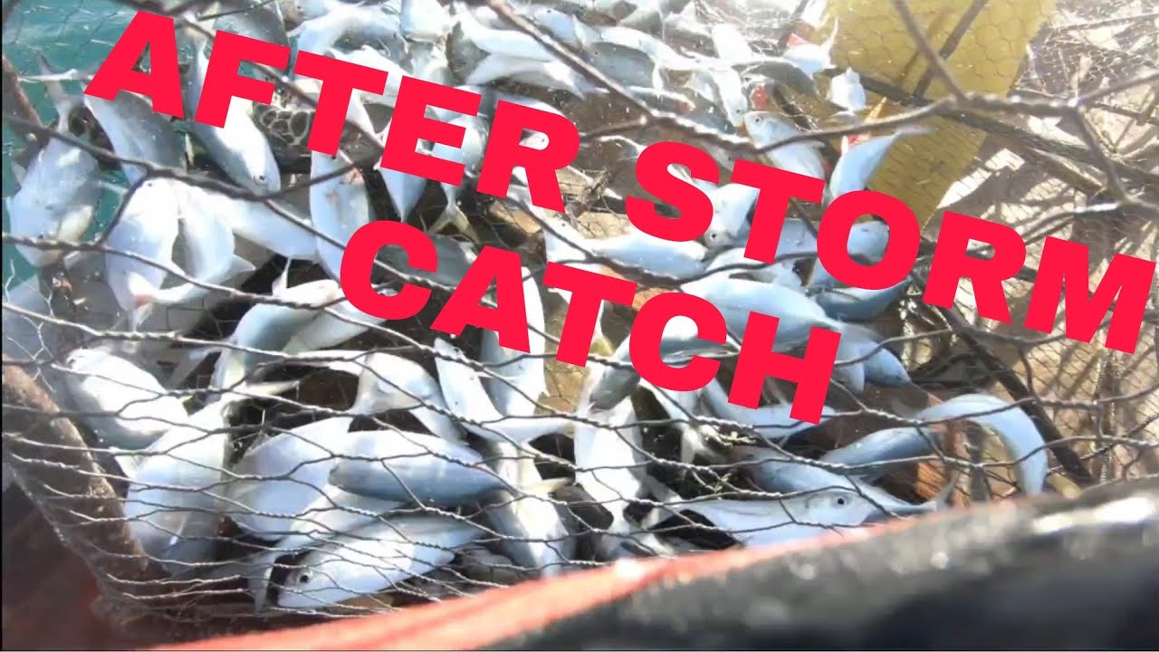 TROPICAL STORM IAN BRING FISH!!!GREAT CATCH - YouTube