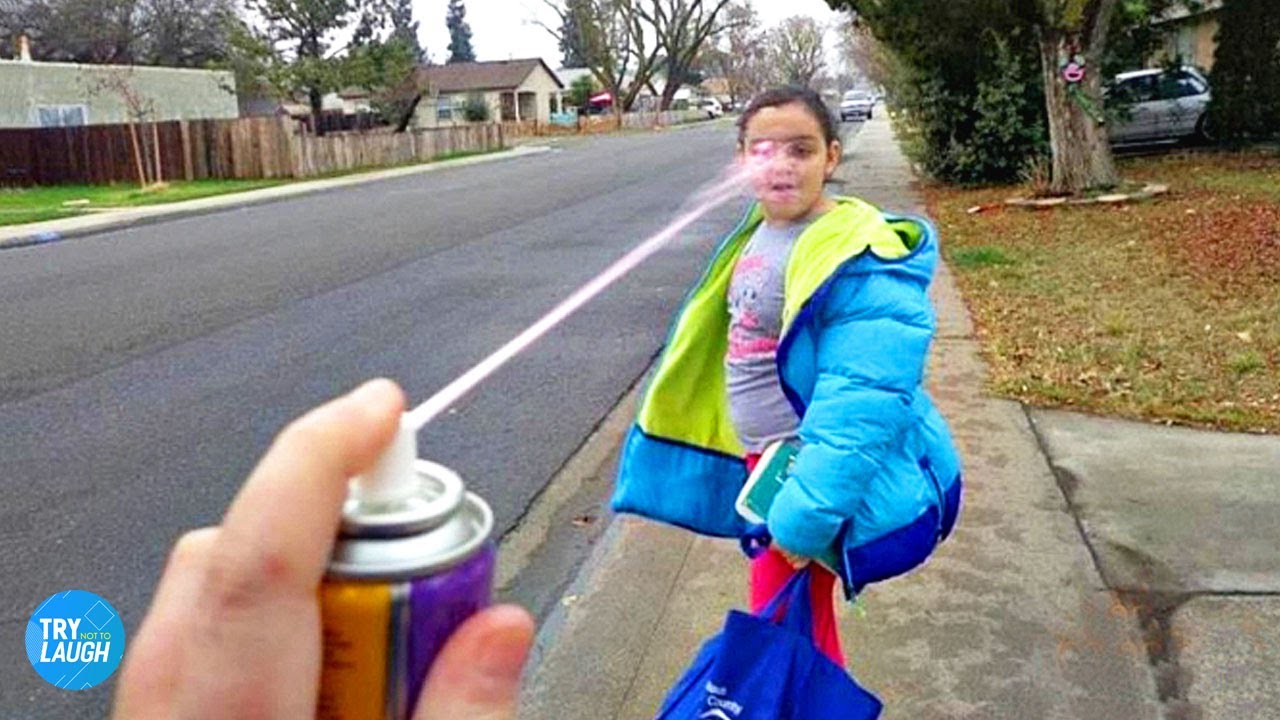 Funny Videos - The Funniest Pranks You'll Ever See! - YouTube