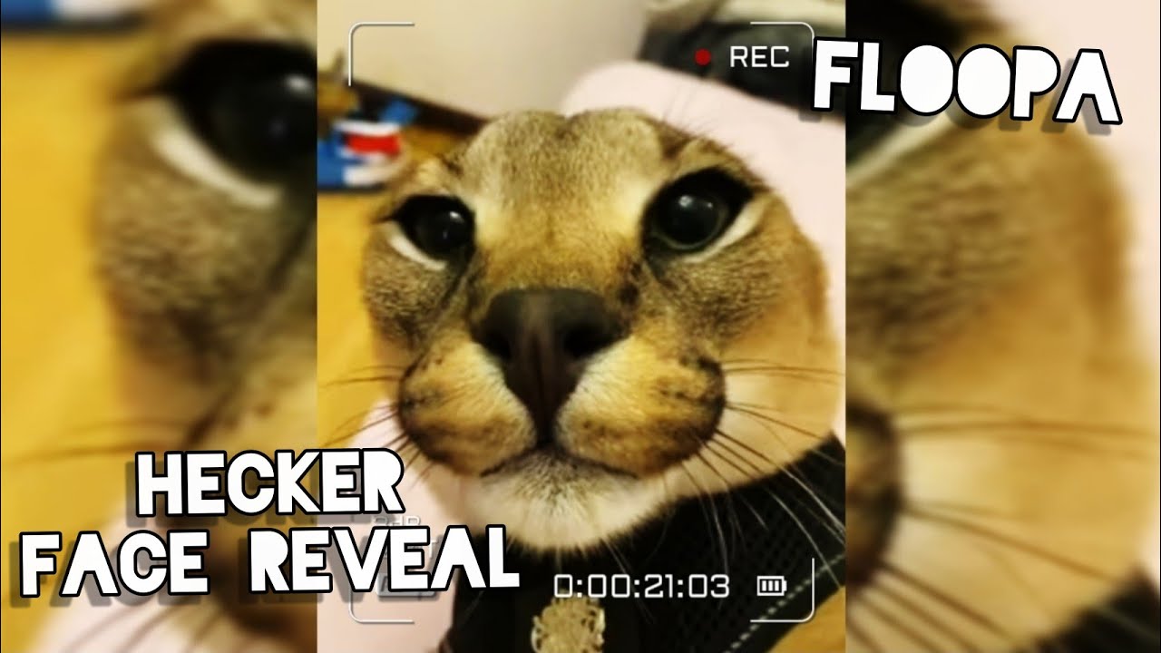 "Real Hecker" || Hecker face reveal || Floopa || Mad stuff with craft ...