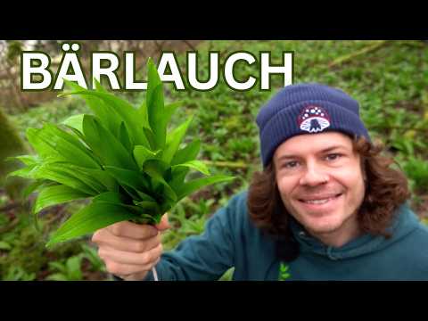 Der erste Bärlauch und ein riskantes Experiment