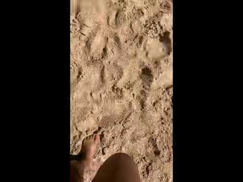 Pretty feet play in sand