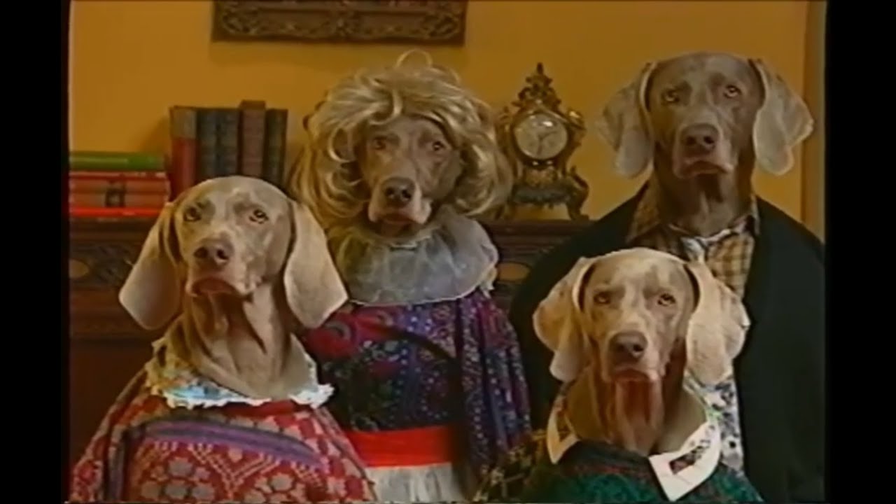 Moments of Christmas Cheer in "Fay's 12 Days of Christmas" - YouTube