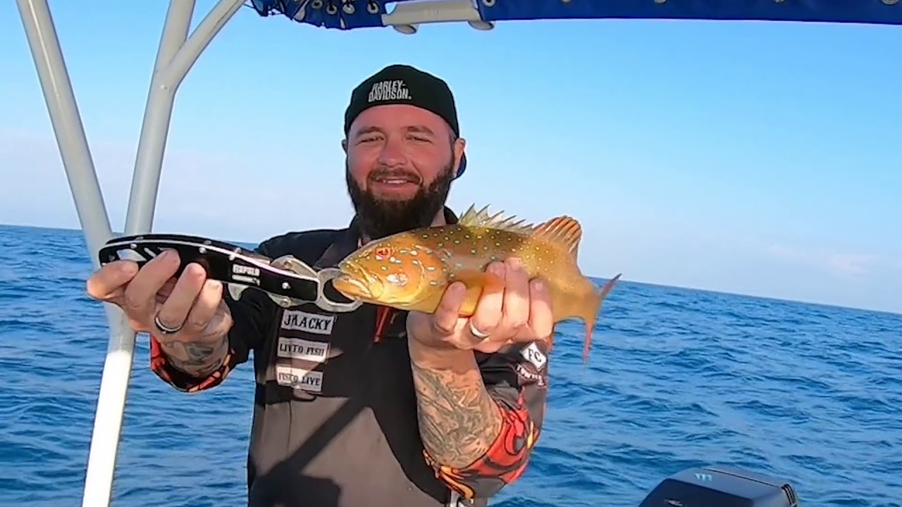 Coral Trout Fishing North Queensland - My First Time Spear Fishing ...