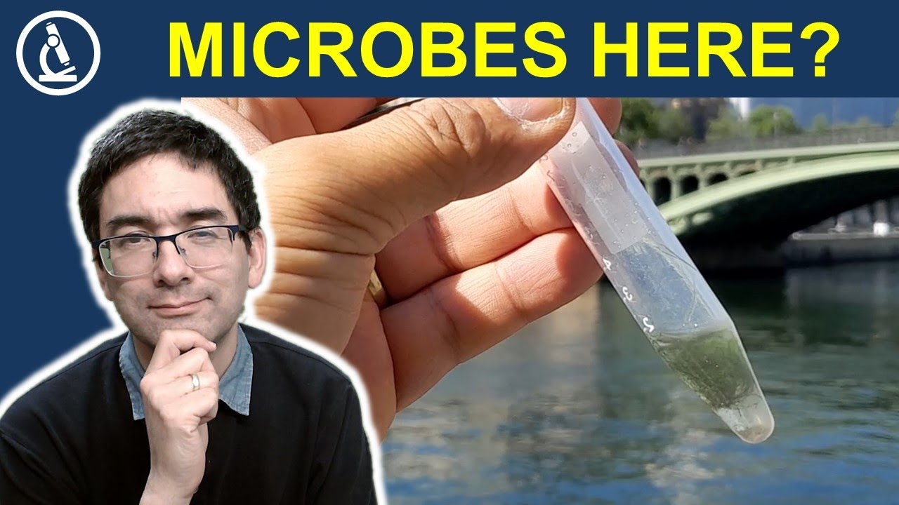 How many microbes are there in French waters? 🔬 253 - YouTube