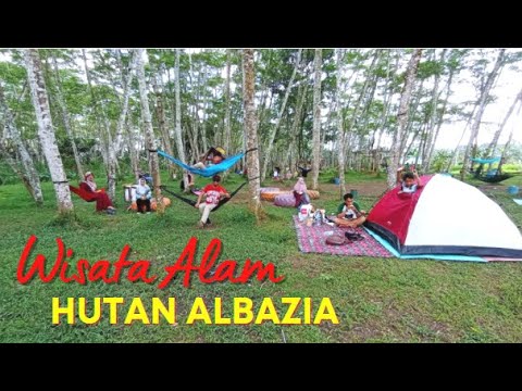 Wisata Alam Hutan Albazia Kuburaya - YouTube