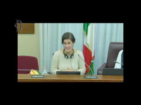 Roma - Audizione Alsalem, Onu (inglese) (20.11.25)