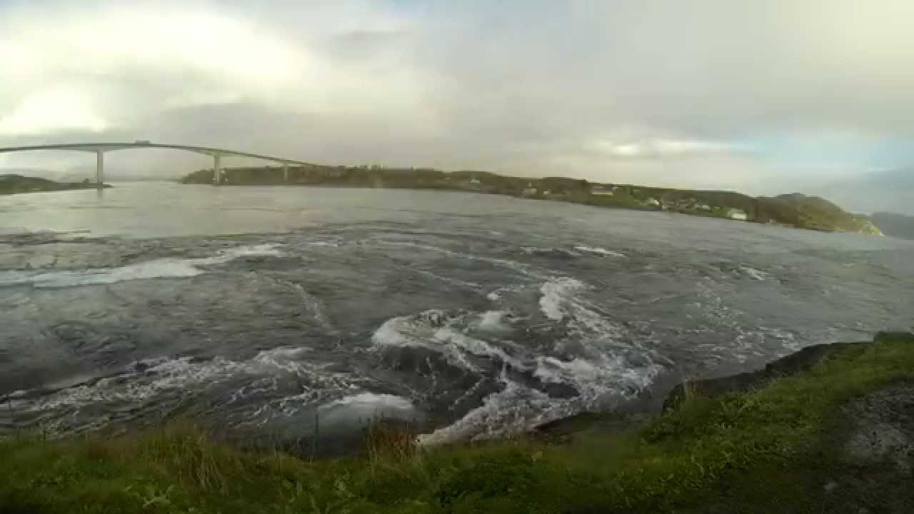 Diving in Saltstraumen - YouTube