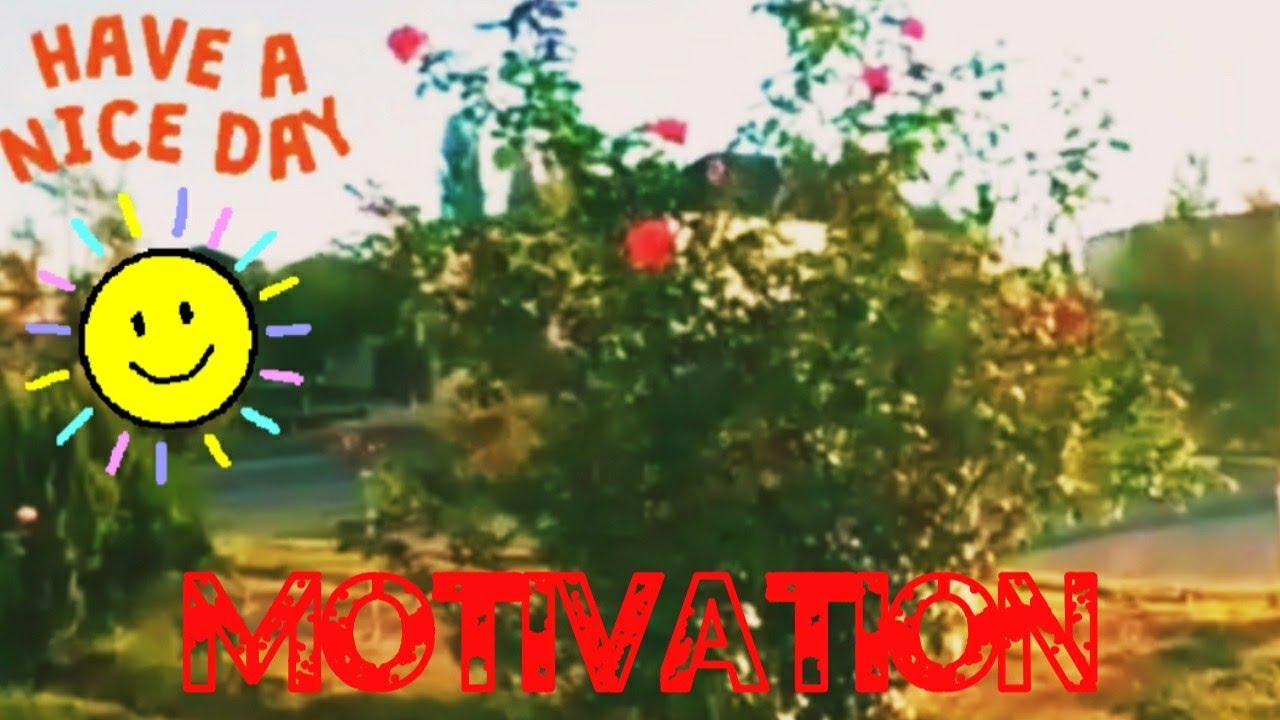 🌄 HAVE A SUNNY DAY🌄 Motivational video 🌄 relaxing life video 🌄 ...