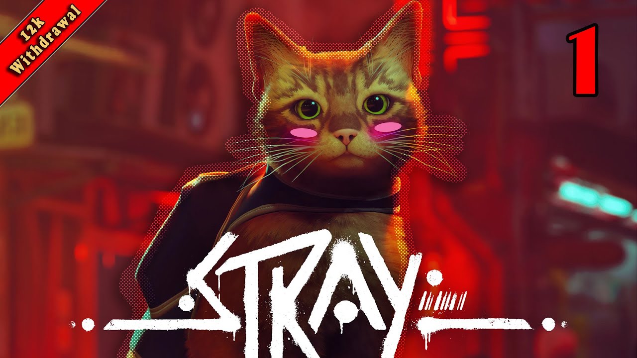 ชายส้ม หมี่แมว น้องหลงกับ B12 : Stray Ep.1 - YouTube