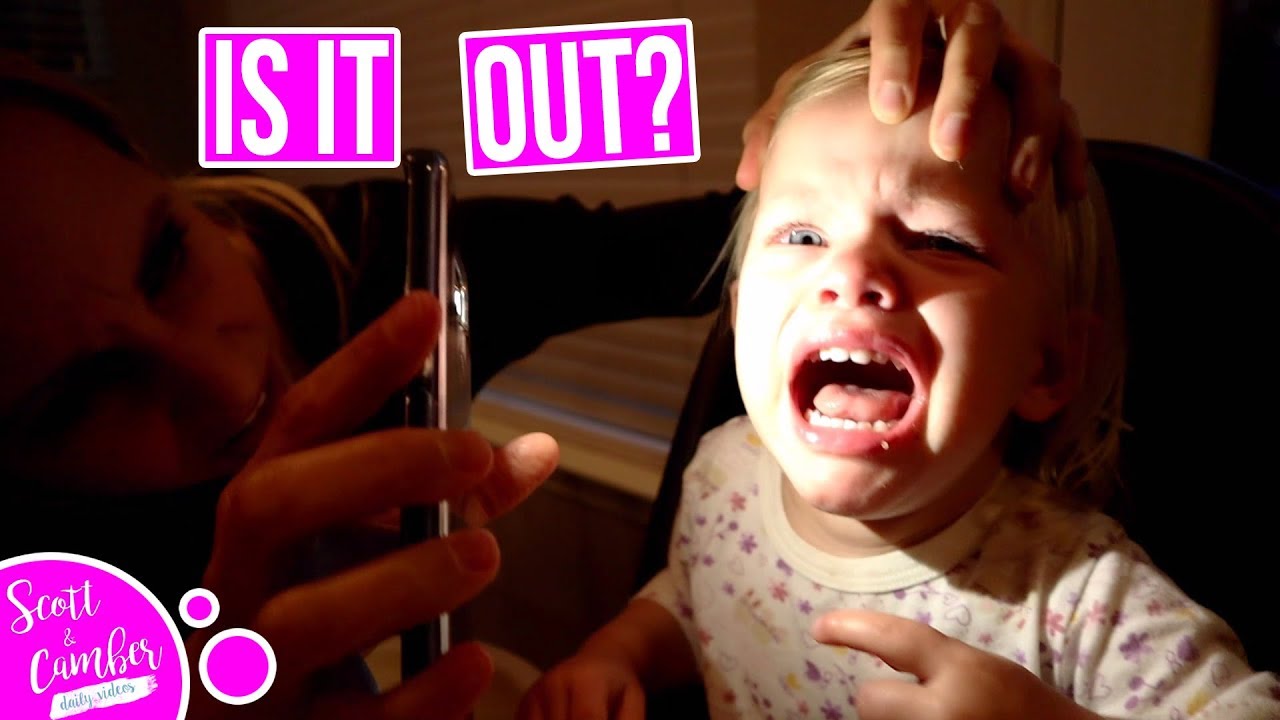 IT GOT STUCK UP THERE...OH NO! - YouTube