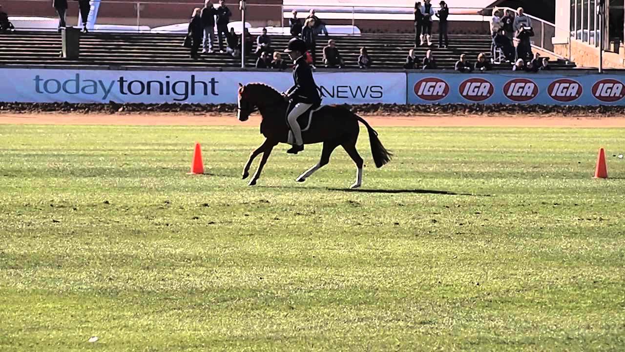 kerulen myfanwy- 3rd open pony 11-11.2hh Adelaide Royal 2013 - YouTube