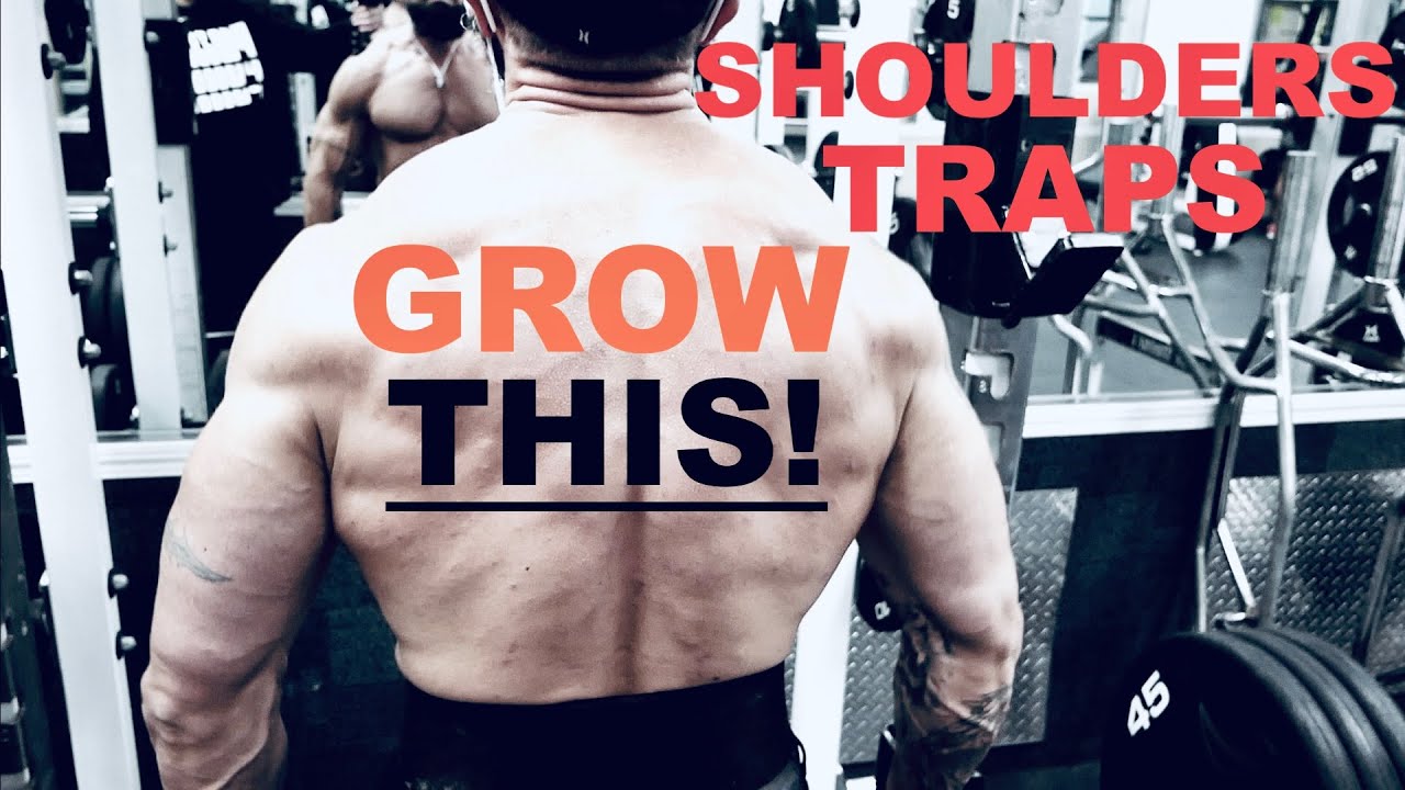 SHOULDERS & TRAPS TRAINING RAW VIDEO ROBERTUS FITNESS - YouTube