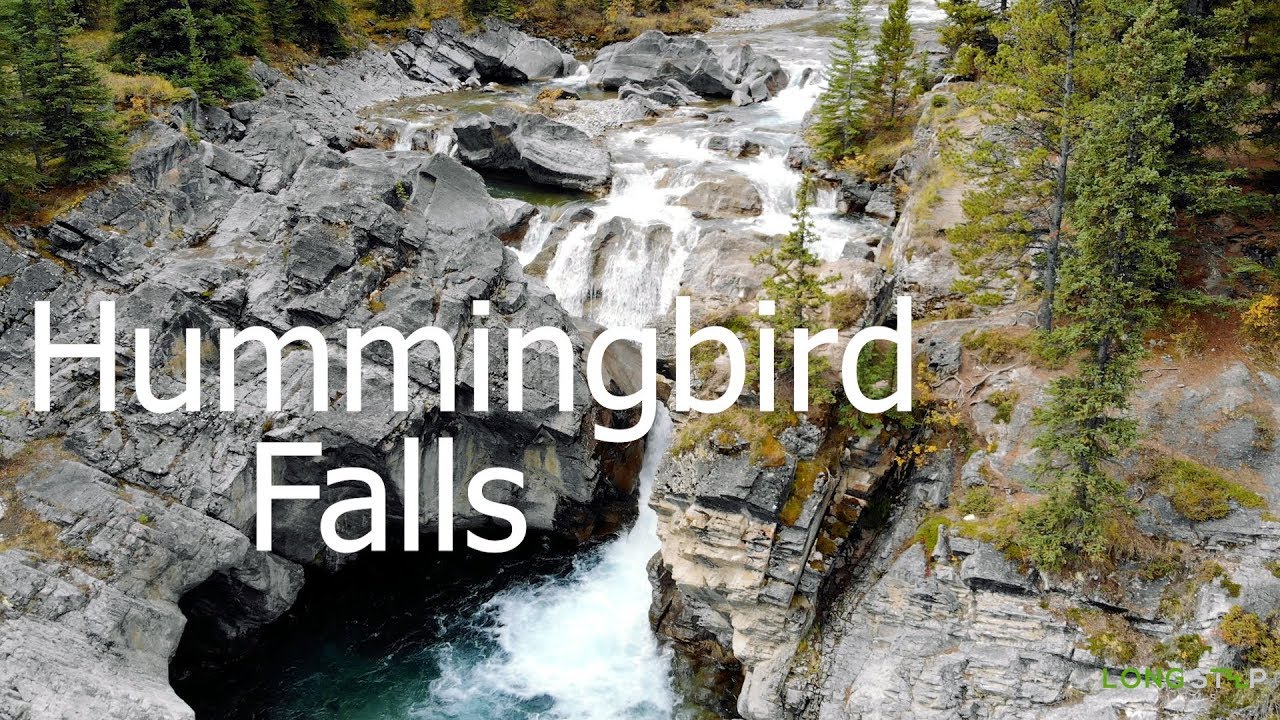 Hummingbird Falls - YouTube