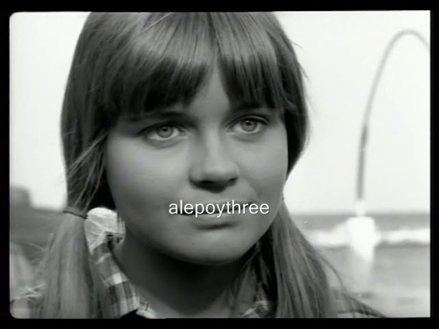 Anne Lonnberg