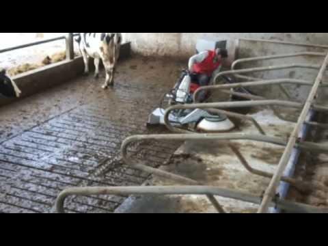 Cubicle cleaner bedder lime dispenser - YouTube