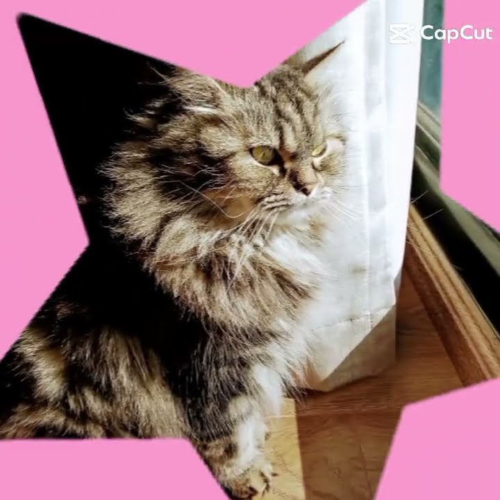 did I do a good loop? - YouTube