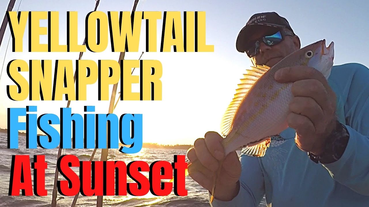 YELLOWTAIL SNAPPER Fishing at Sunset | How to catch yellowtail snapper ...