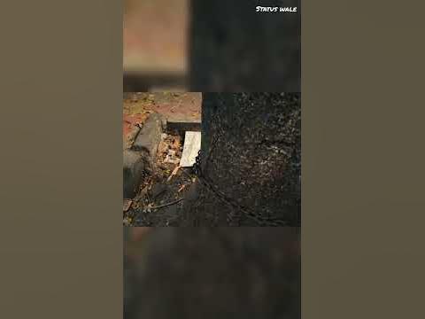 Tere naam sahare by Dino james fullscreen status - YouTube