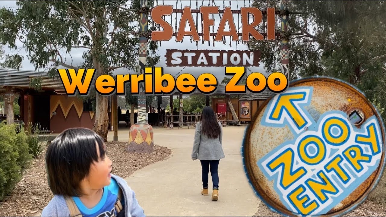Werribee Open Range Zoo || Werribee Safari Adventure - YouTube