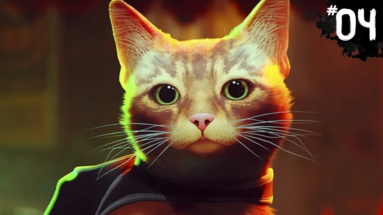 STRAY | MOMO | COMPLETE WALKTHROUGH | PS5 | (Livestreamed) - YouTube