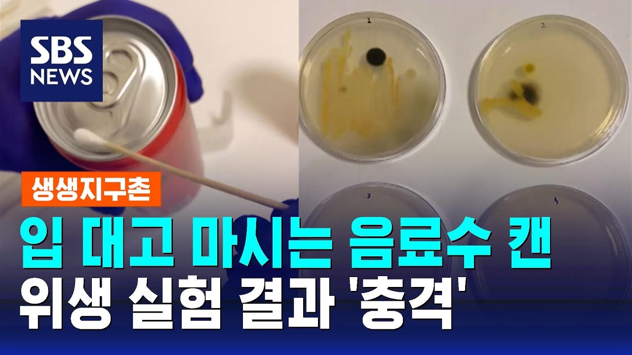 세균 배양 접시에 슥슥 문질렀더니…음료 캔 위생 실험 결과는 Sbs 생생지구촌 Youtube
