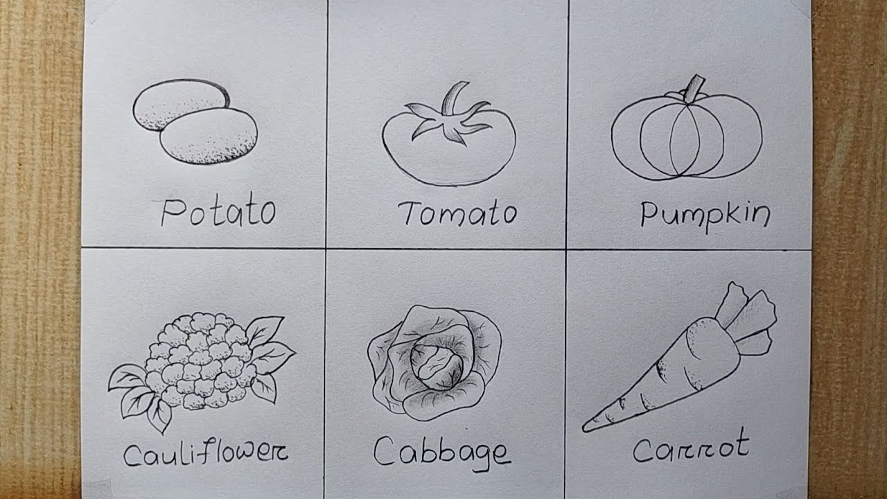 Different types of Vegetables drawing easy| How to draw 6 different ...