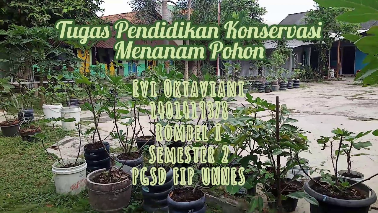 Tugas Pendidikan Konservasi_12_Evi Oktaviani - YouTube
