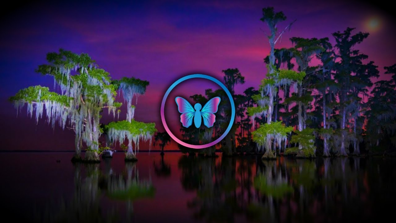 10 Hours Of Relaxing Swamp Sounds For Sleep | Natural Ambient Sounds Of ...