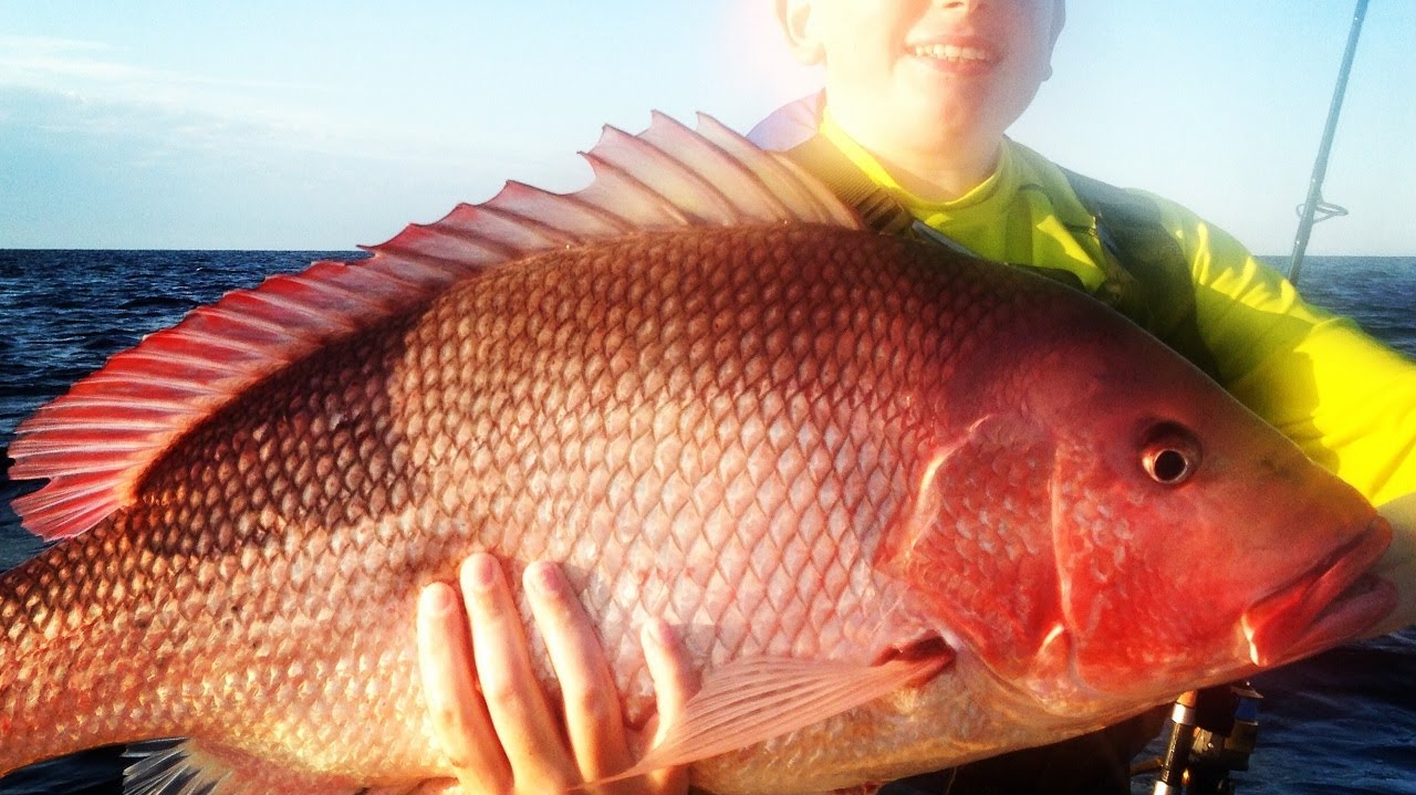 Kayak Fishing Monster Red Snapper - Destin Florida - YouTube
